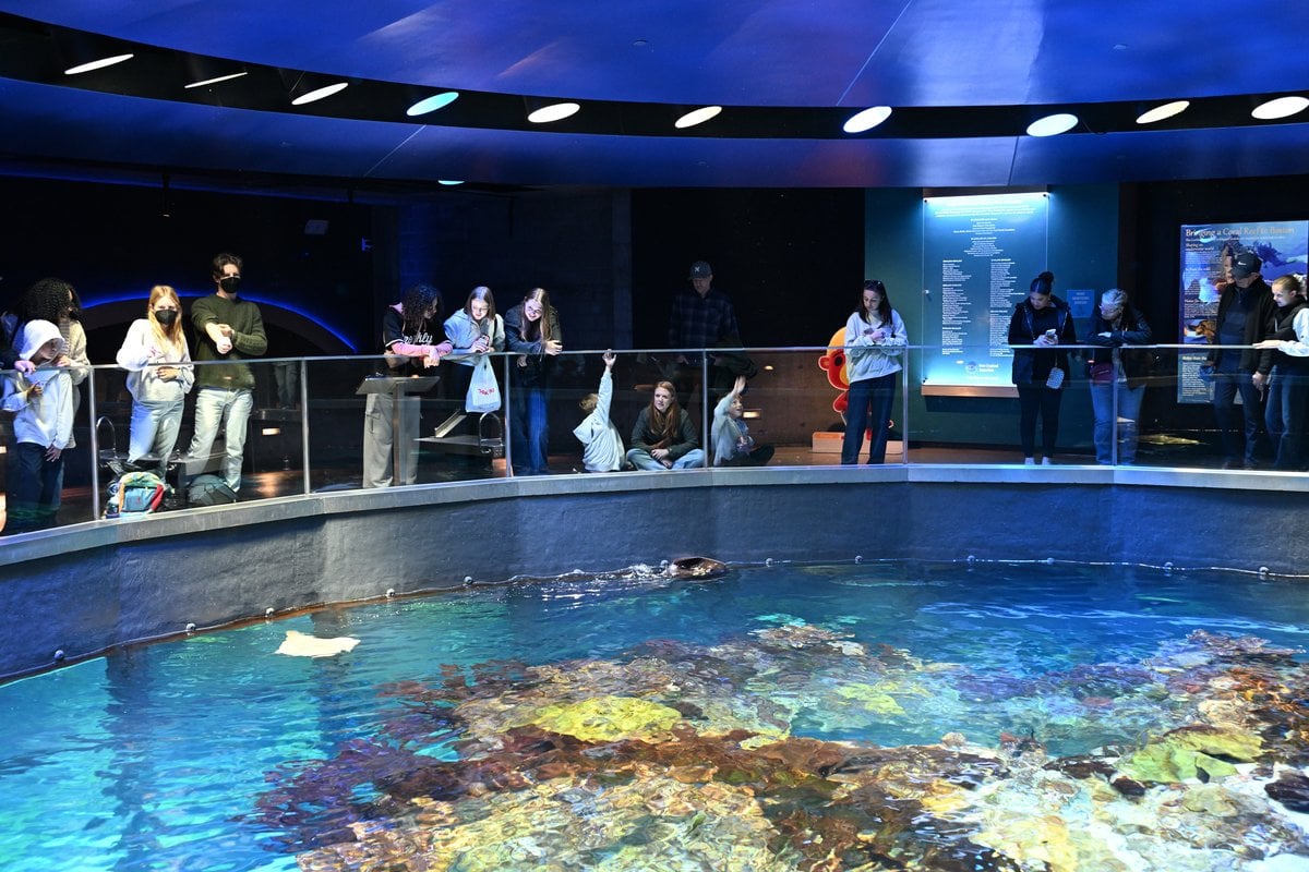 New England Aquarium | The Best Aquariums