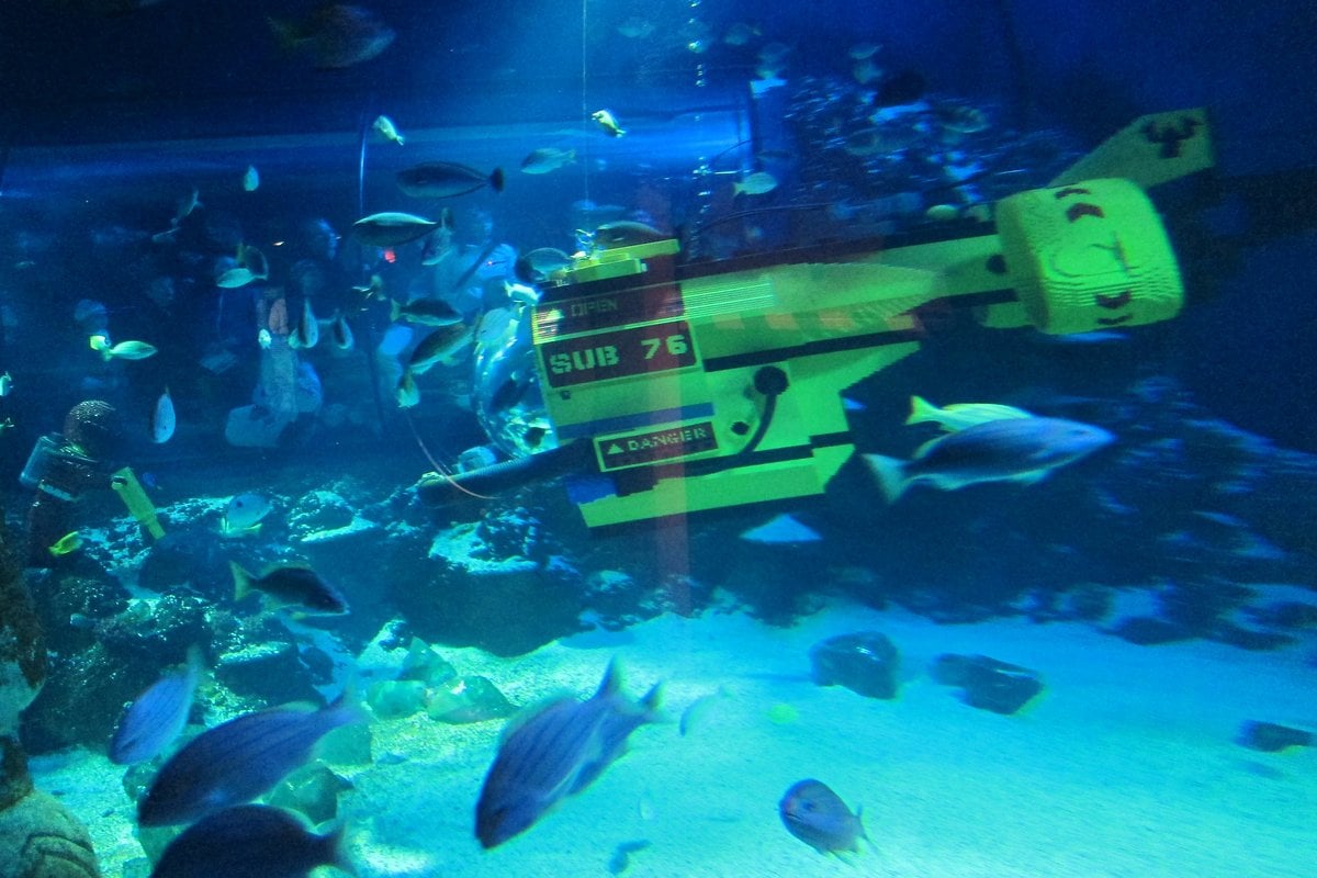 Sea Life Aquarium at Legoland California | The Best Aquariums